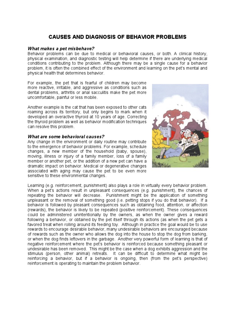 Behavior - Causes and Diagnosis of Problems | PDF | Reinforcement ...