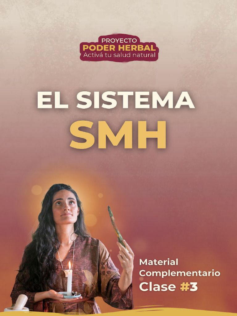 El Sistema SMH 3 | PDF