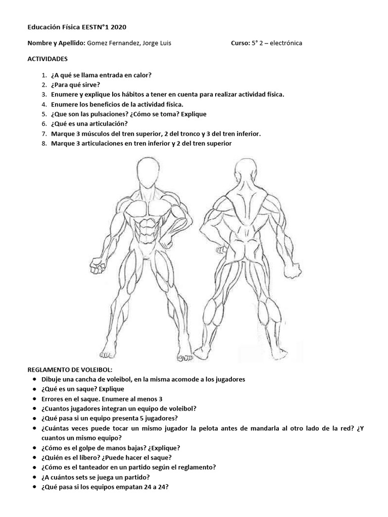 1TP Educacion Fisica Global | PDF