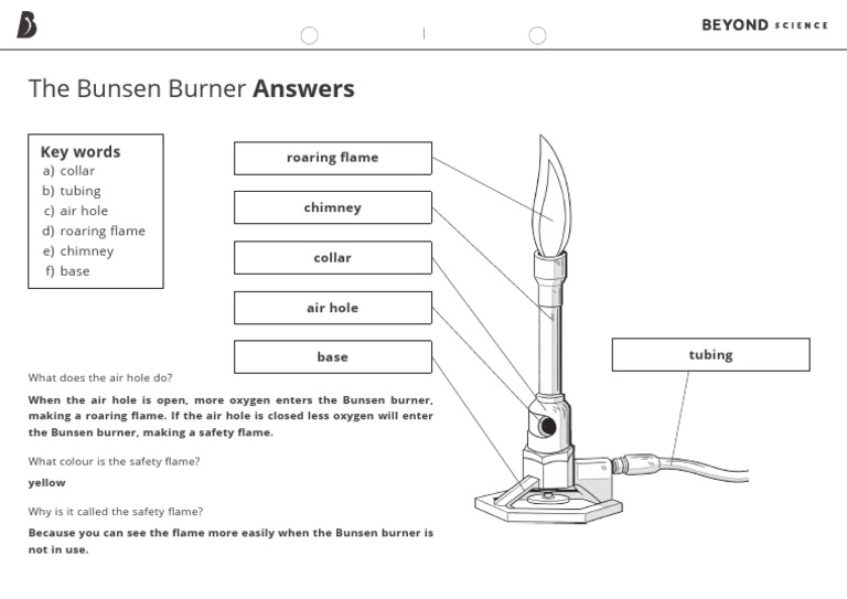 Labelling the Bunsen Burner Worksheet Answers | PDF