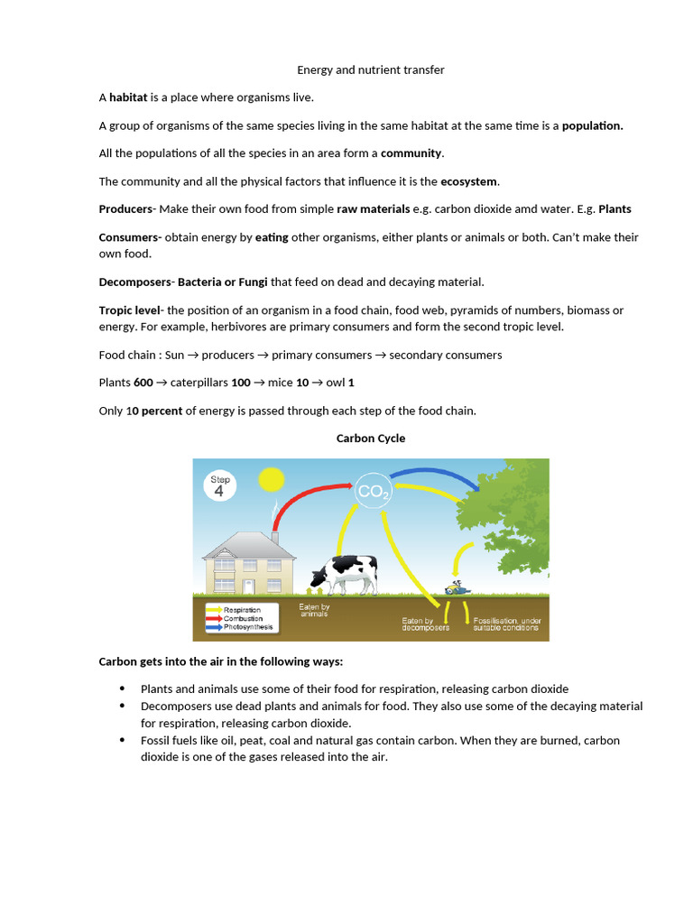 Energy and nutrient transfer 2 | PDF