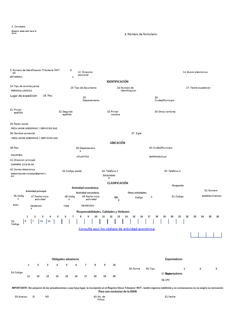 Rut Editable para Envio A La Dian. | PDF