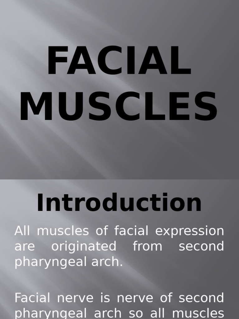 Muscles of Face | PDF