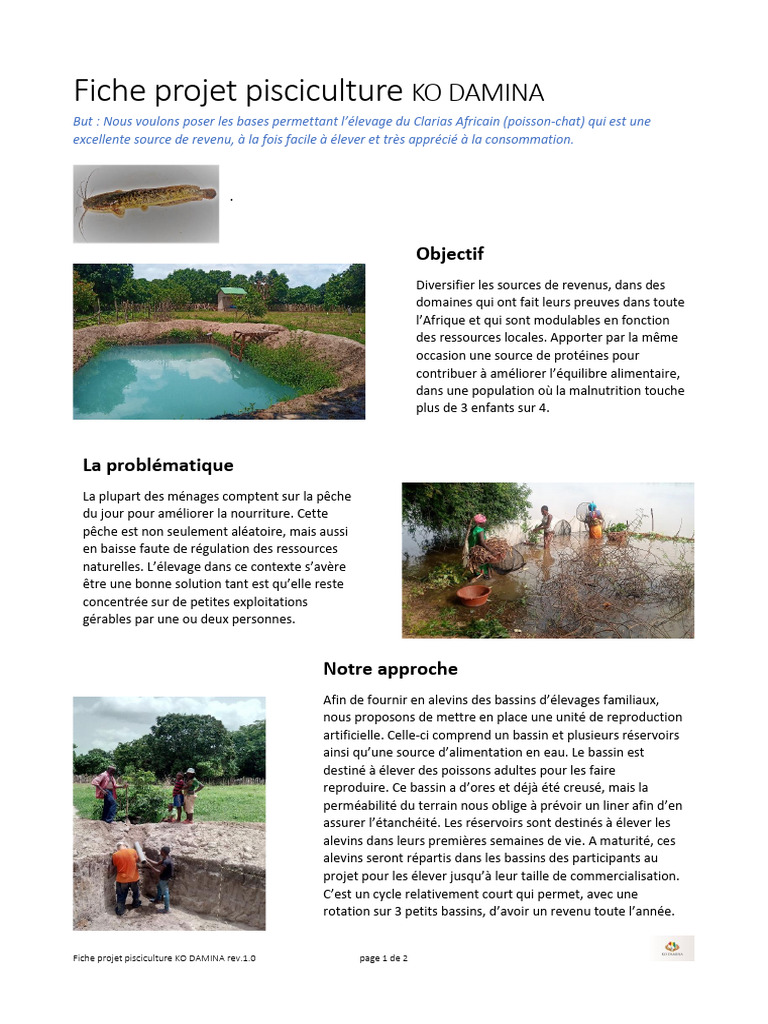 Projet Pisciculture - 01 | PDF