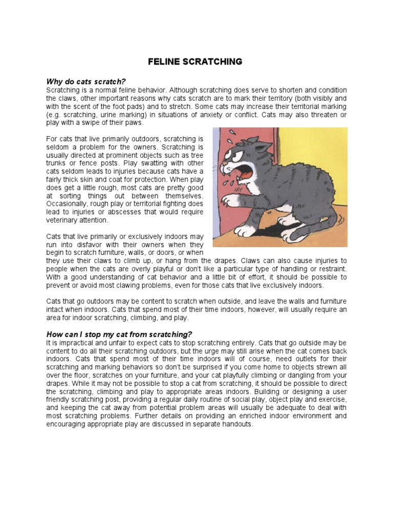 Feline Scratching: Why Do Cats Scratch? | PDF | Cats | Nature