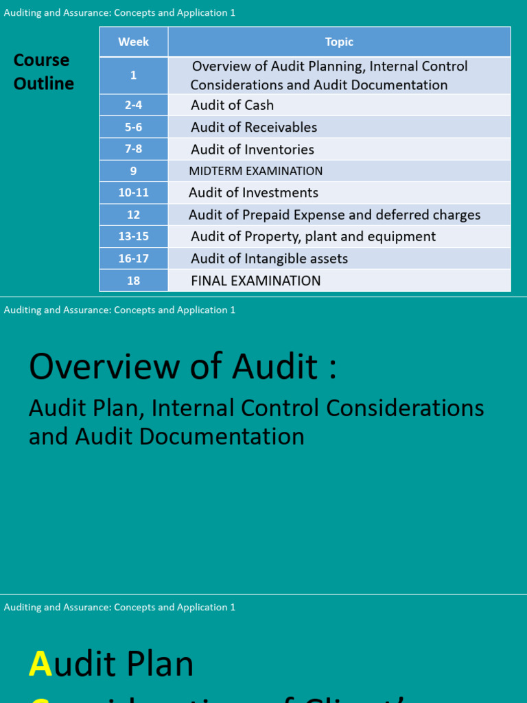 1 Overview of Audit Plan, Internal Control Considerations and Audit Documentation | PDF