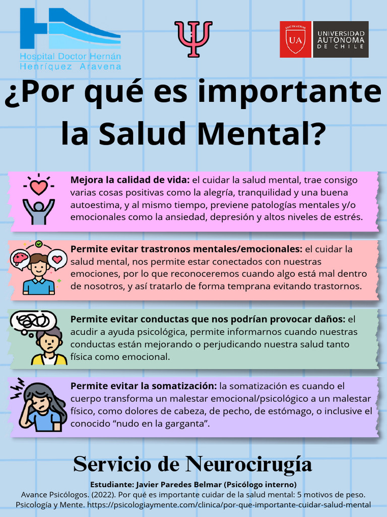 ¿Por Qué Es Importante La Salud Mental | PDF