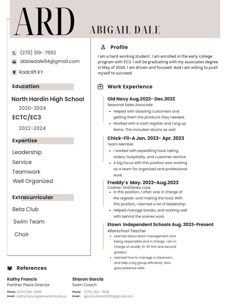 Simple Professional CV Resume | PDF