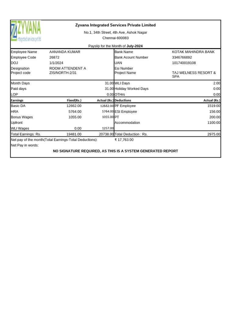 Pay Slip | PDF