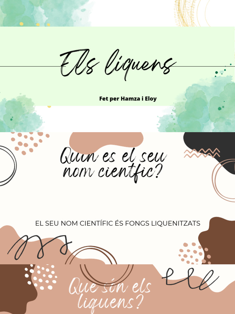 Borcelle Studio | PDF