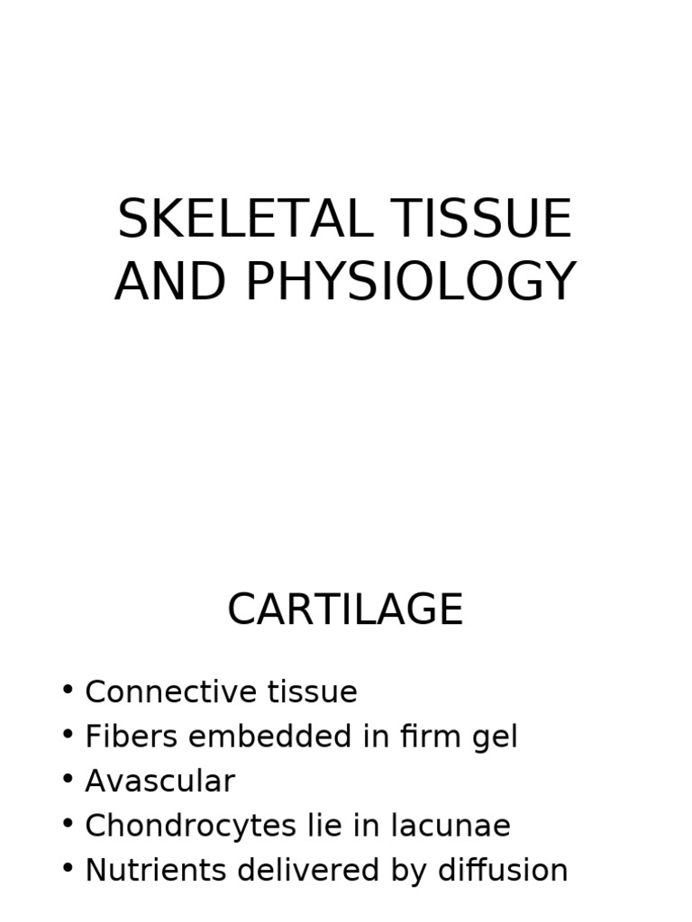 Bone Physiology | PDF