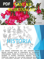 Informe 100 Plantas Medicinales Selva Peruana | PDF