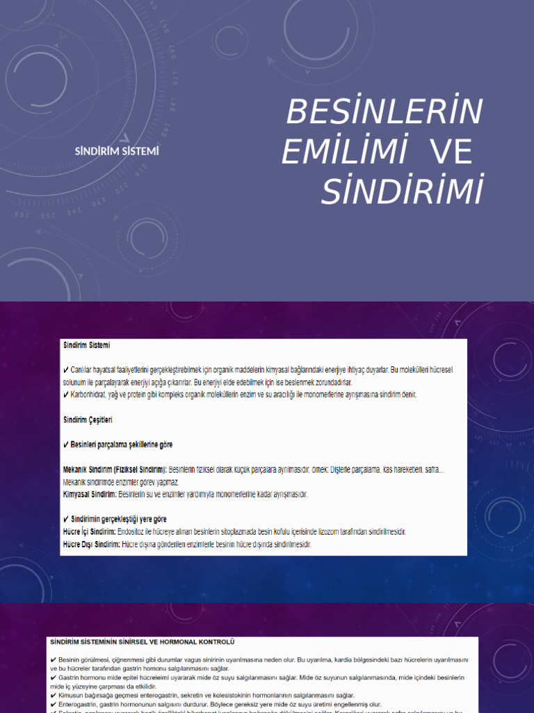 Sunu | PDF