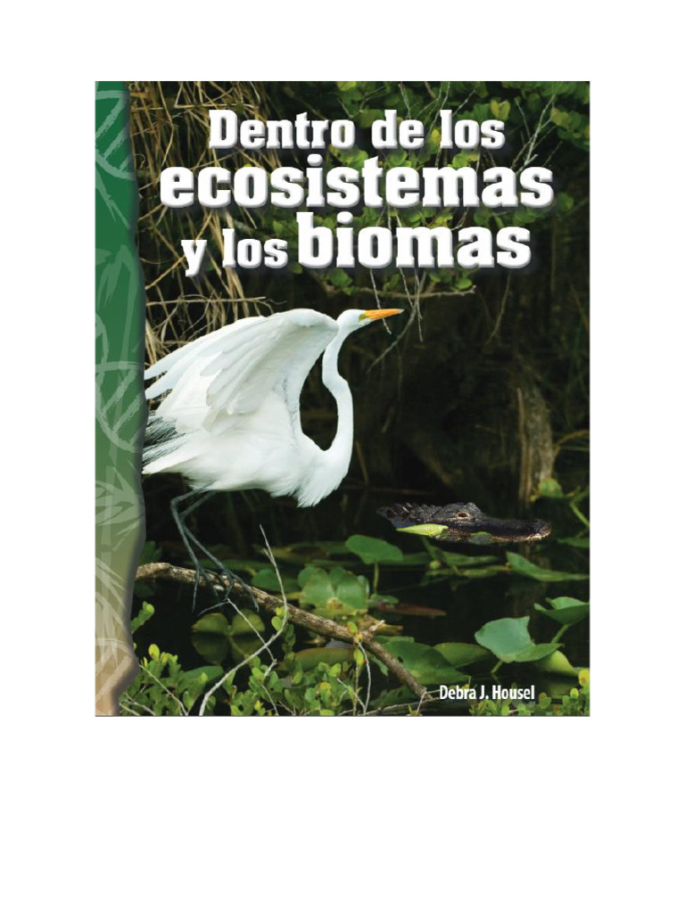 Dentro de Los Ecosistemas y Los Biomas (Inside Ecosystems and Biomes) | PDF