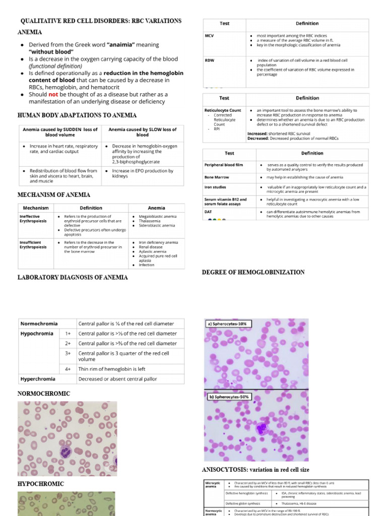 Qualiquanti RBC | PDF