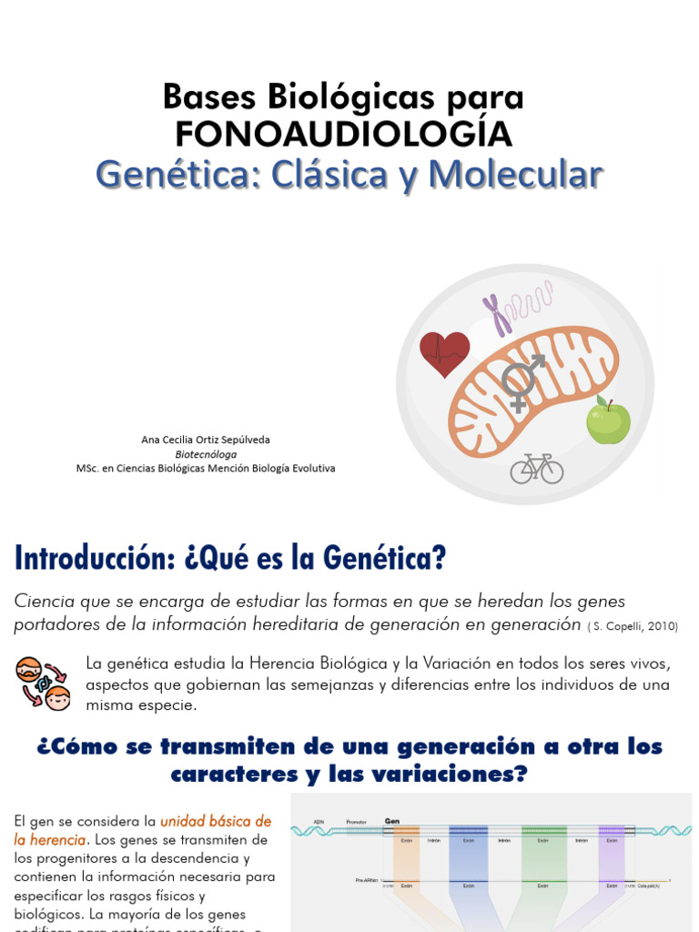Genética Clásica y Mendel | PDF | Dominancia (Genética) | Gene