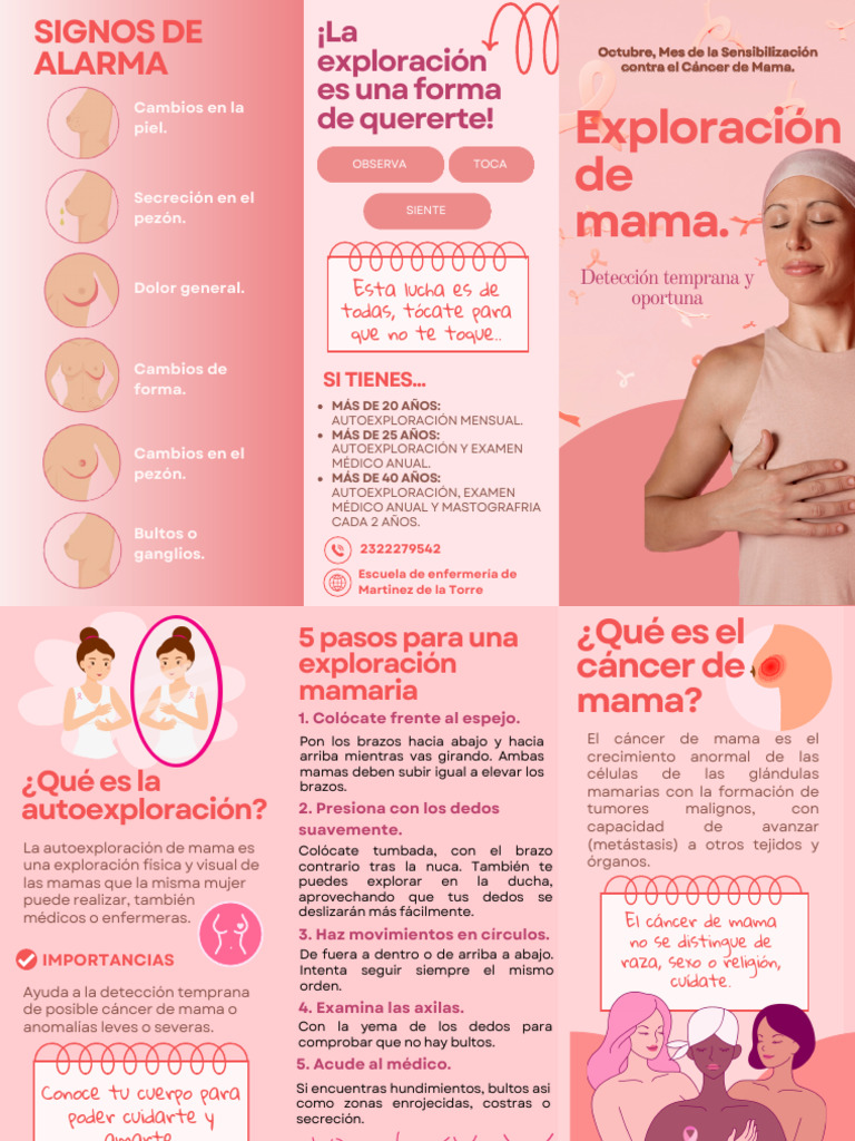 Folleto Información Cáncer de Mama Moderno Rojo y Rosa | PDF