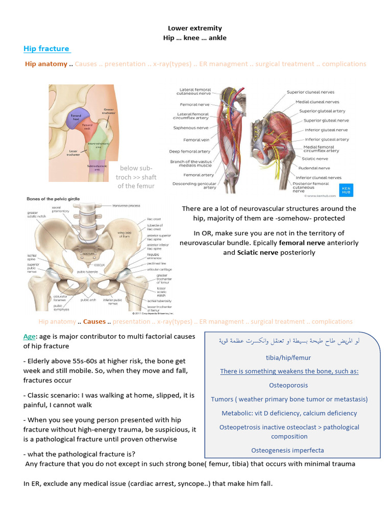 Lower Extremity | PDF