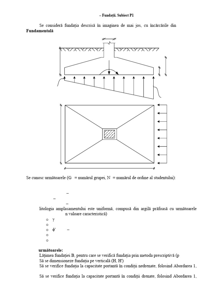 Probleme Fundatii CCIA - Fundatie Directa | PDF
