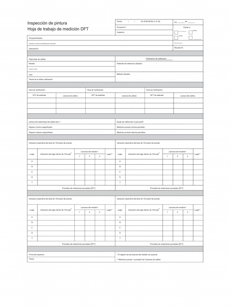 Paint Inspection - DFT Measurement Worksheet | PDF
