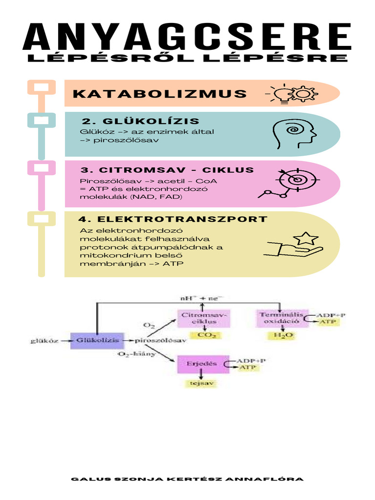 White Colorful Modern Timeline Design Process Infographic | PDF
