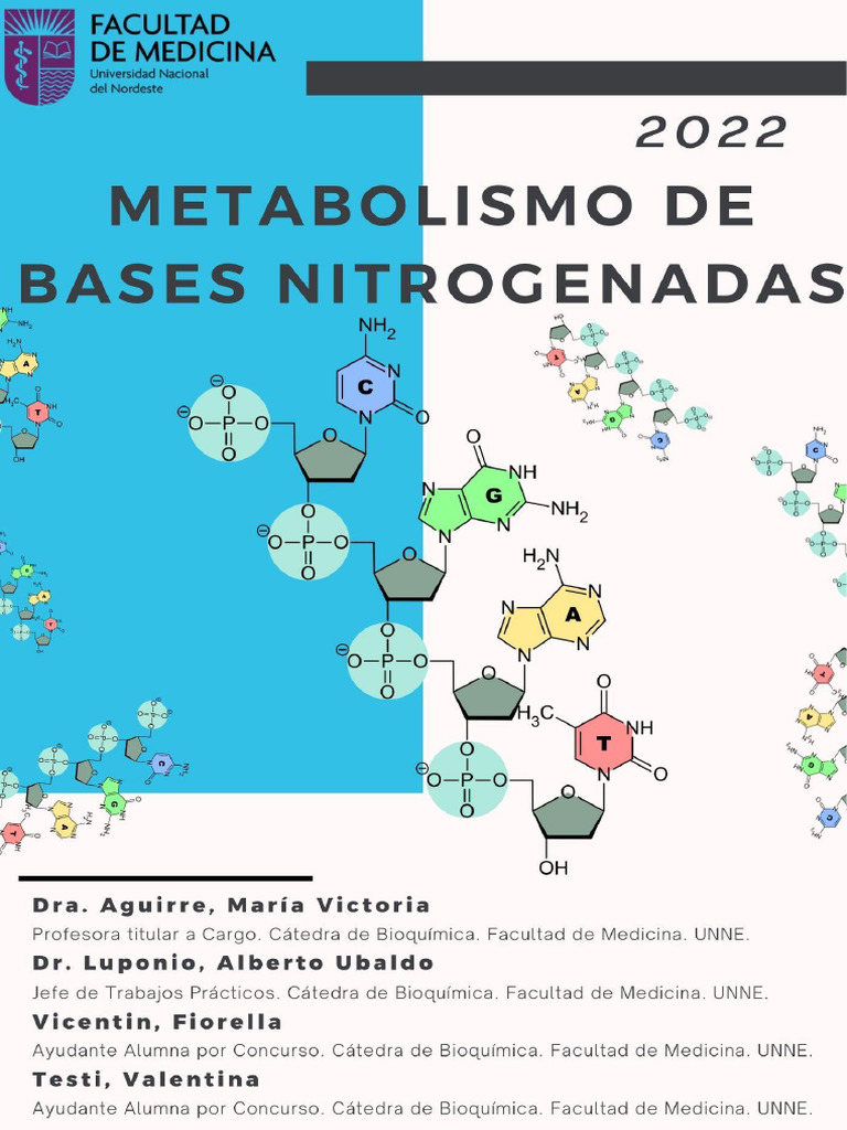 Metabolismo de Bases Nitrogenadas | PDF