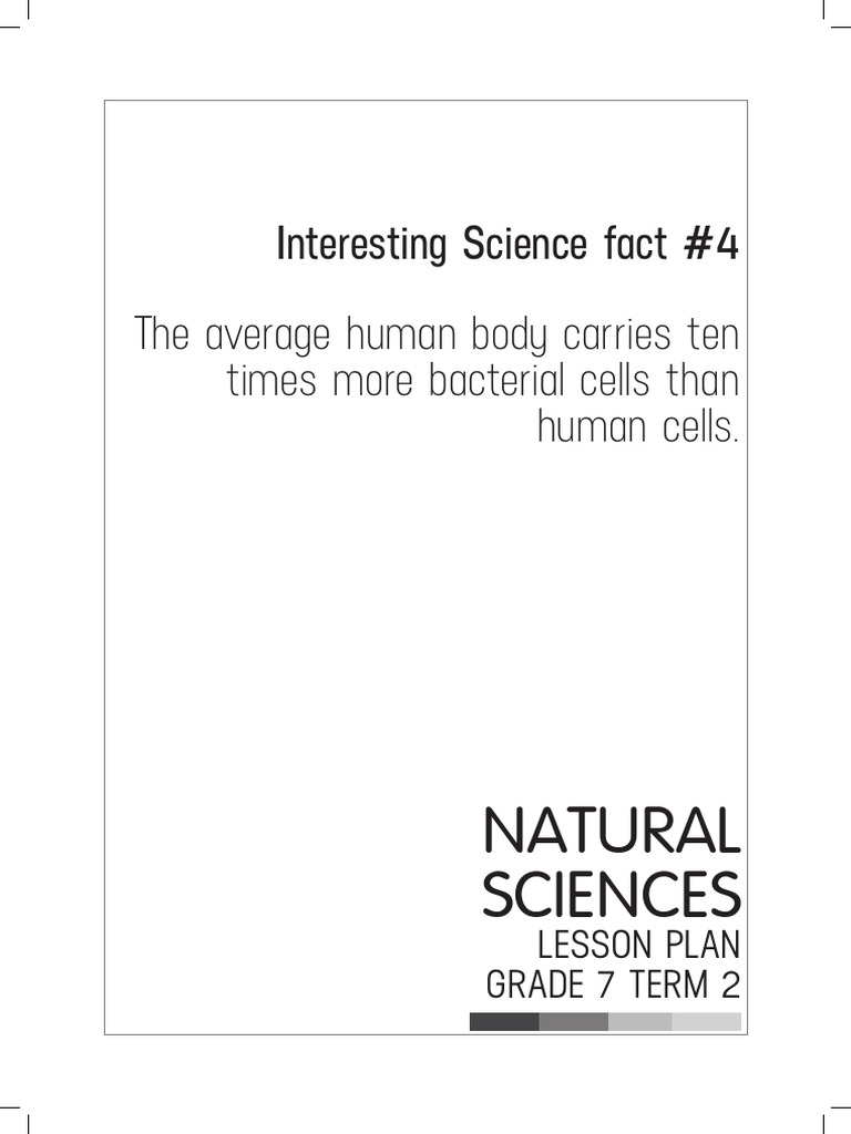 GR 7 Term 2 2020 Ns Lesson Plan | PDF