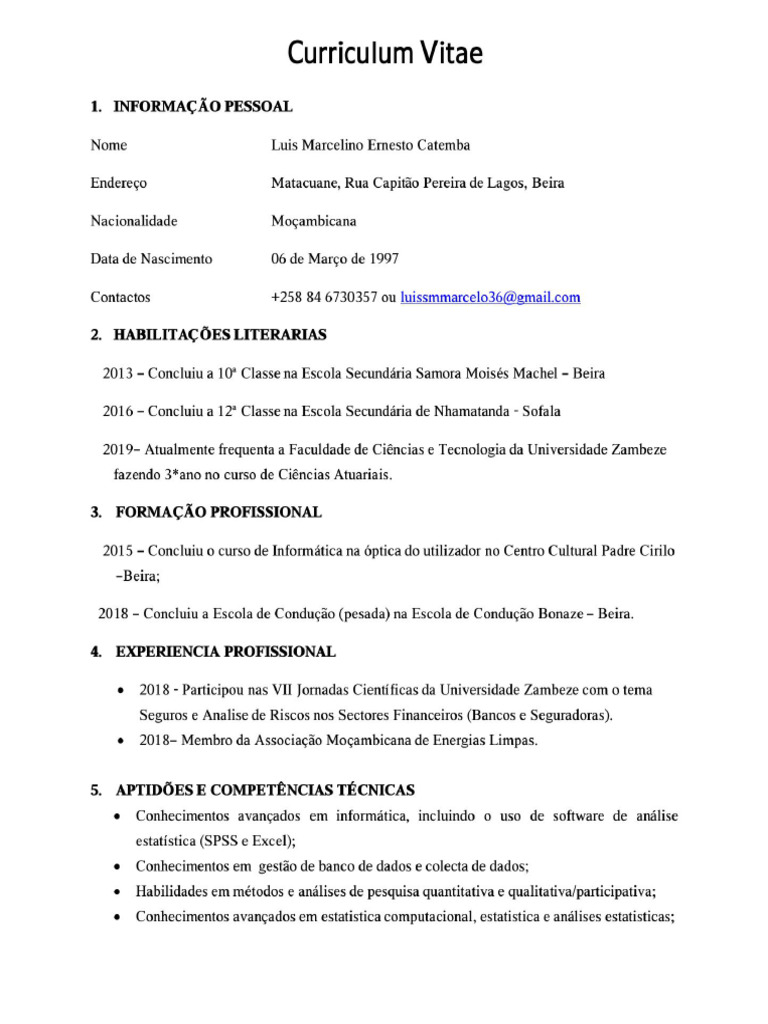 Curriculum Vitae Luis Marcelino | PDF