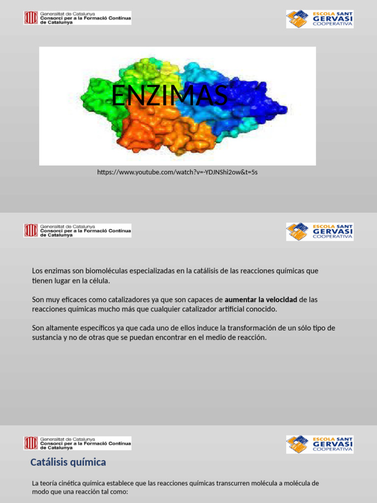 Enzimas | PDF