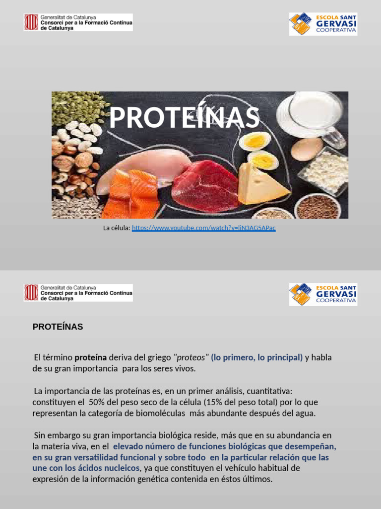 Proteínas | PDF