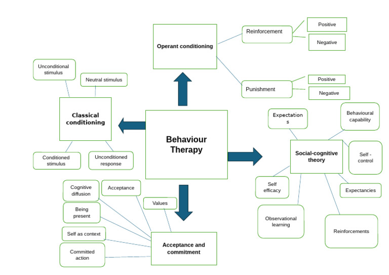 Behaviour Map | PDF