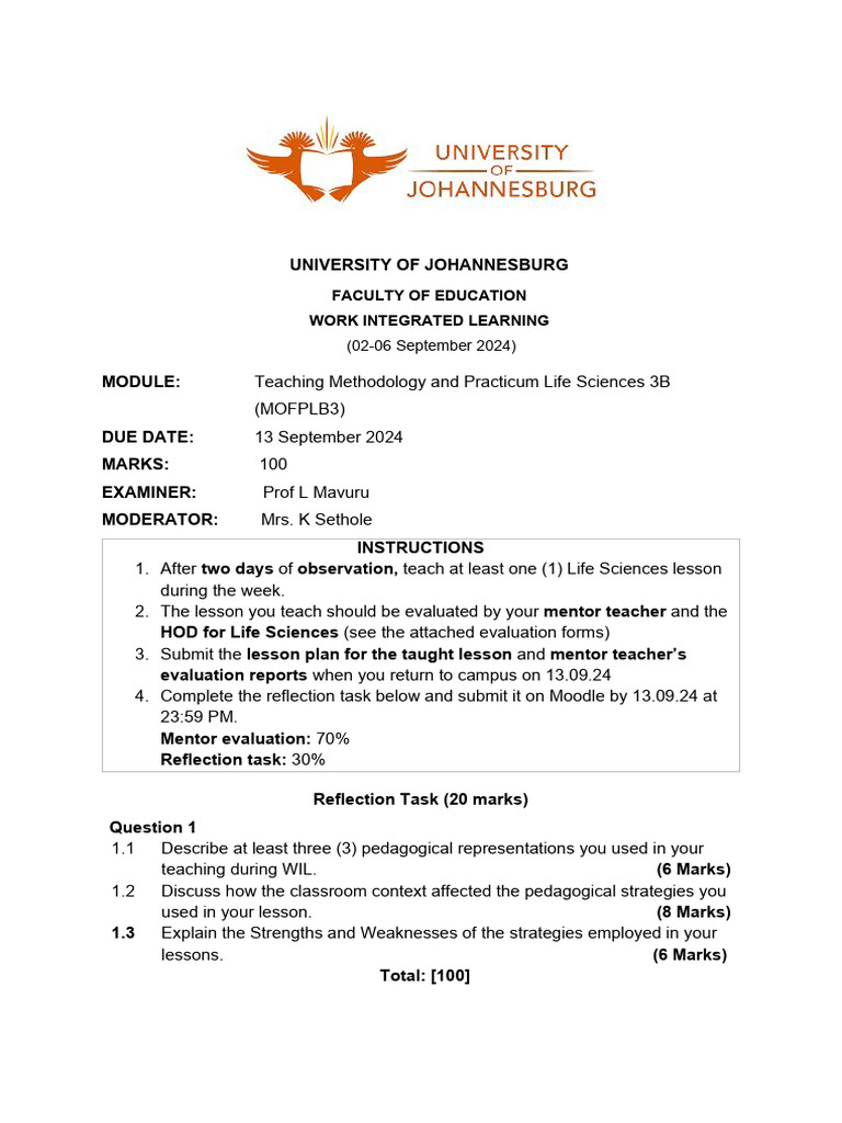 WIL 2024 MOFPLB3 TASK | PDF