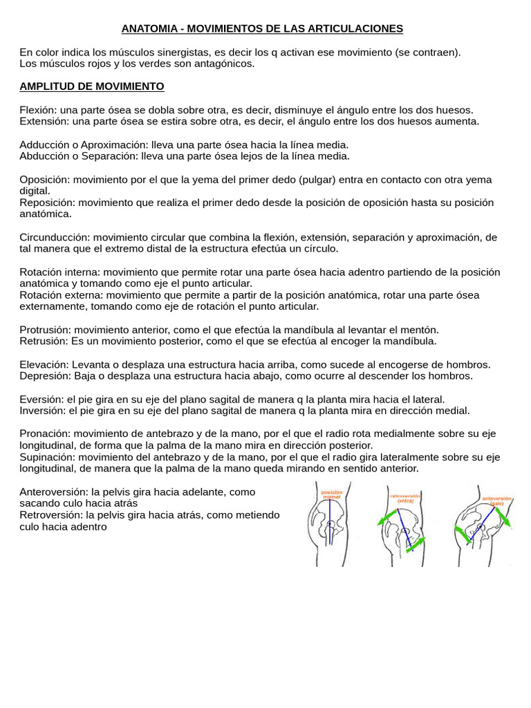 Movimientos de Las Articulaciones | PDF