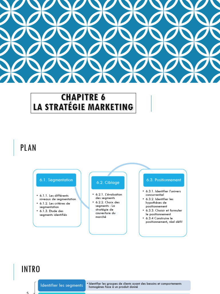 Bases Du Marketing Chap 6 | PDF