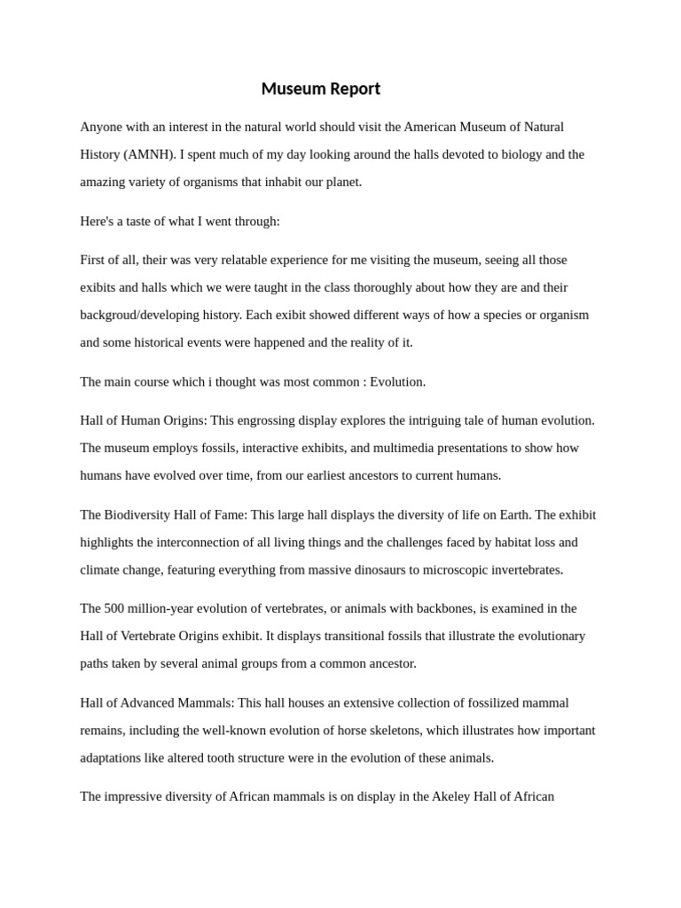 Museum Report | PDF
