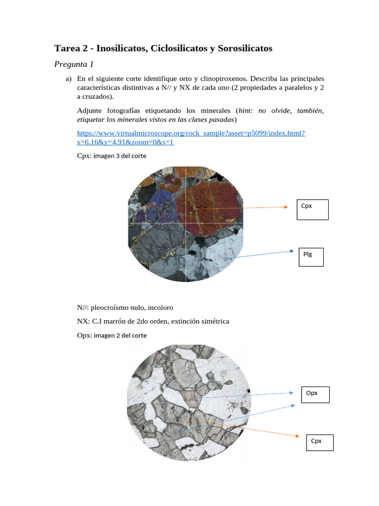 Tarea2 - Ino, Ciclo y Sorosilicatos | PDF