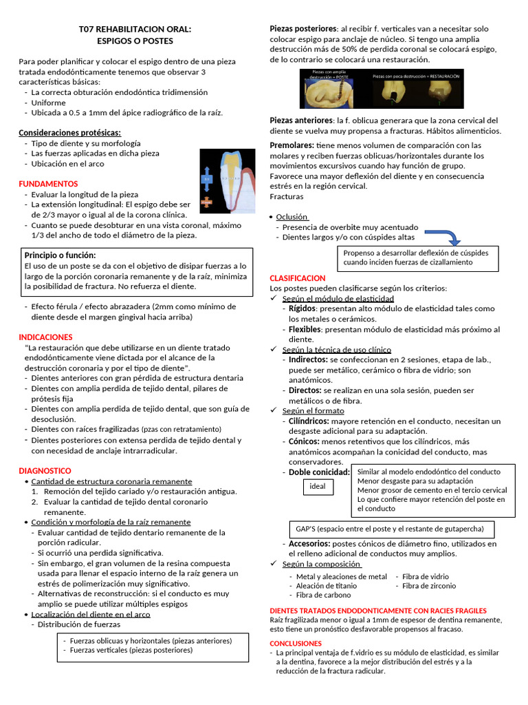 T07 Rehabilitacion Oral Espigo | PDF