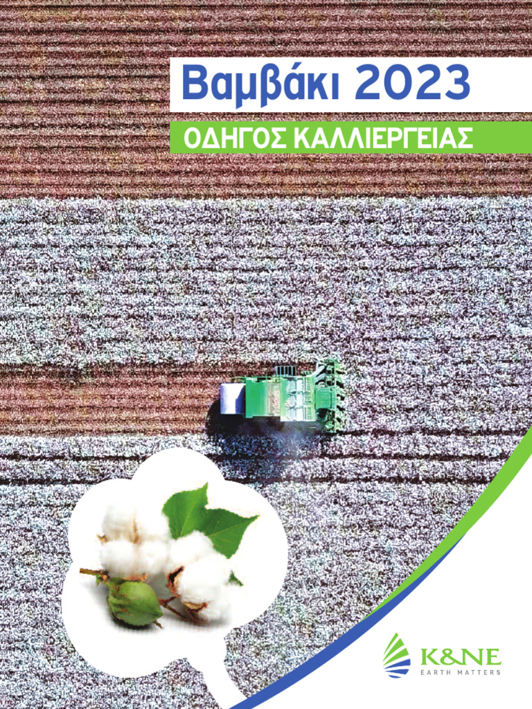 BAMBAKI 2023 Digital | PDF