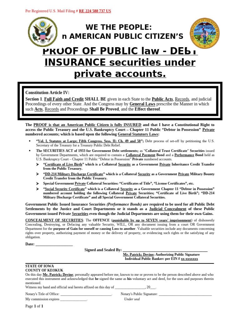 American Public Insurance Example Rev 1 | PDF