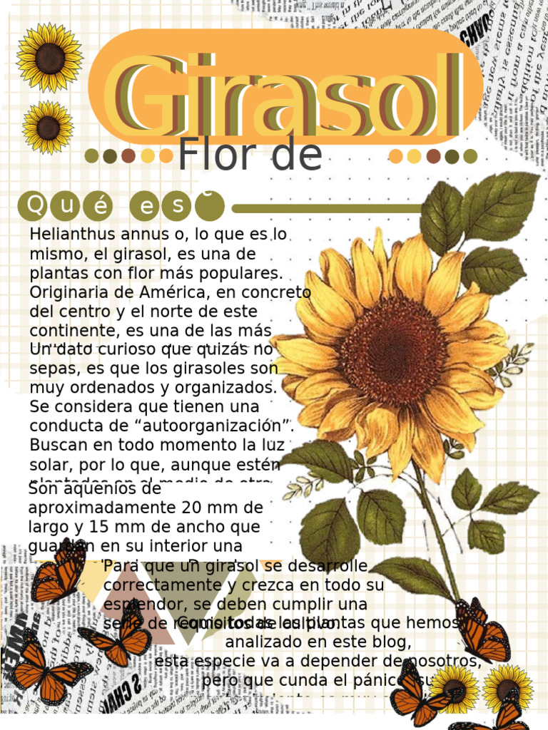 Apunte Girasol | PDF