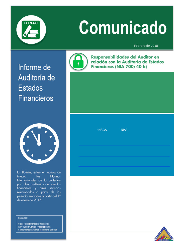 Ctnac Comunicado Responsabilidades Del Auditor | PDF