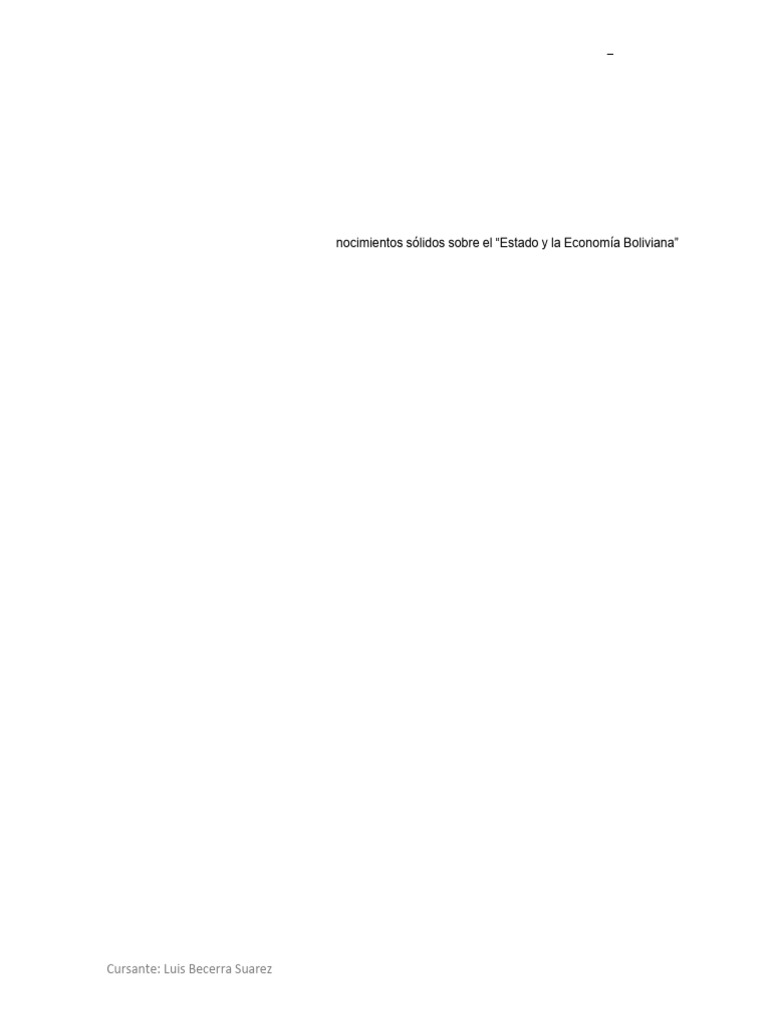 Trabajo Practico 1 Politicas Publicas - Luis Becerra | PDF