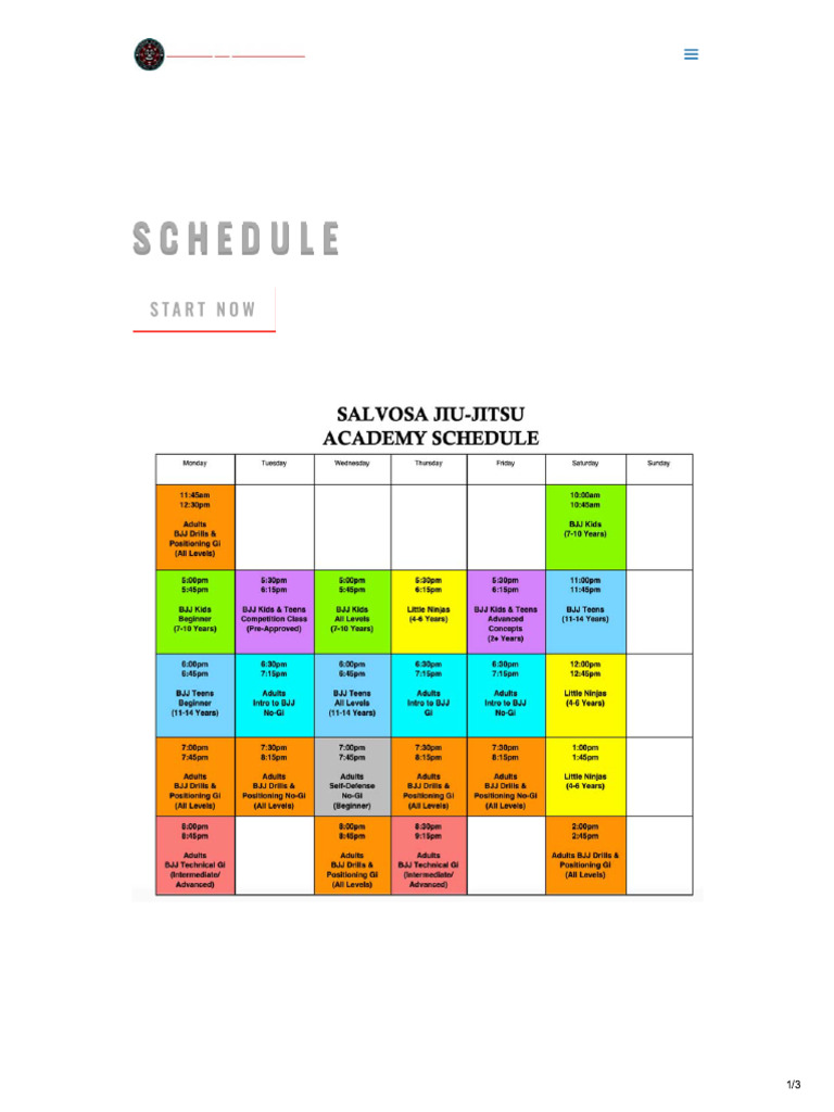 Schedule - SALVOSA JIU-JITSU ACADEMY | PDF