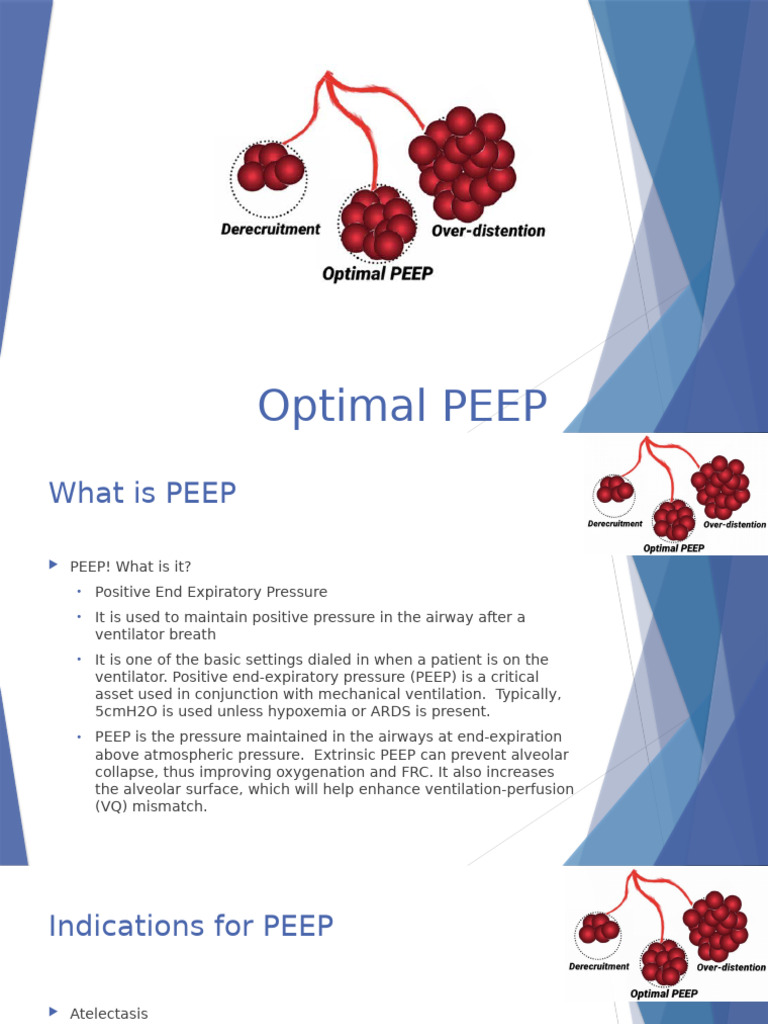 Optimal Peep | PDF