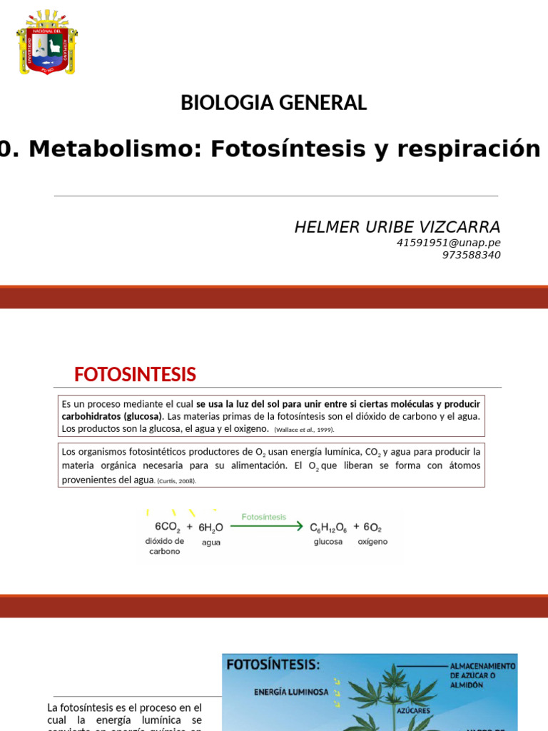Fotosintesis y Respiracion Celular | PDF