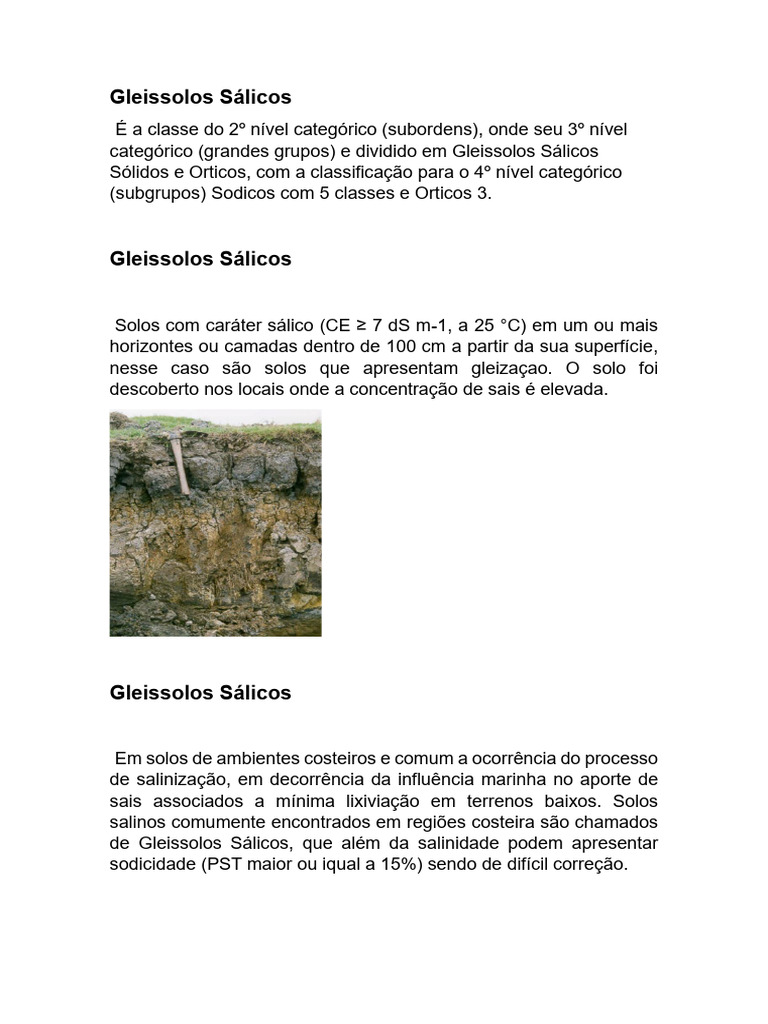Gleissolos Salicos | PDF
