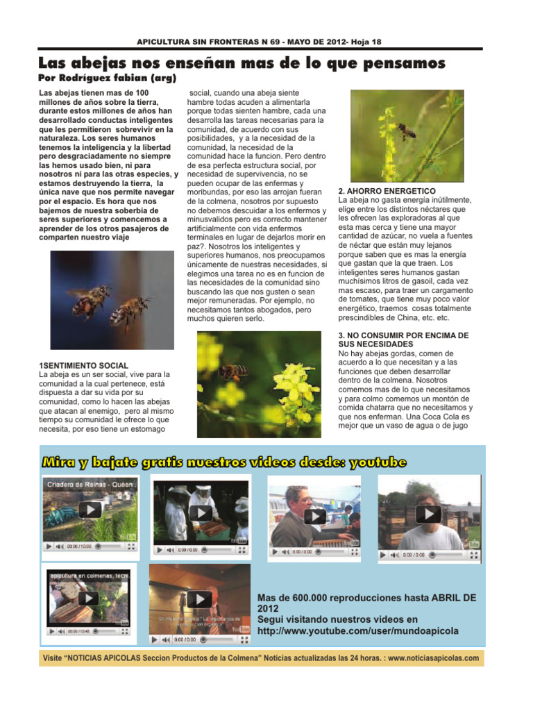 Enseñansas de Las Abejas | PDF
