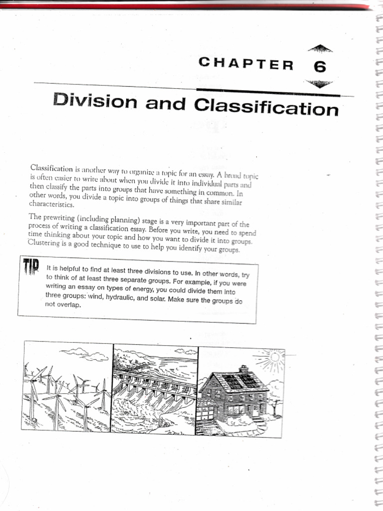 Division and Classification | PDF