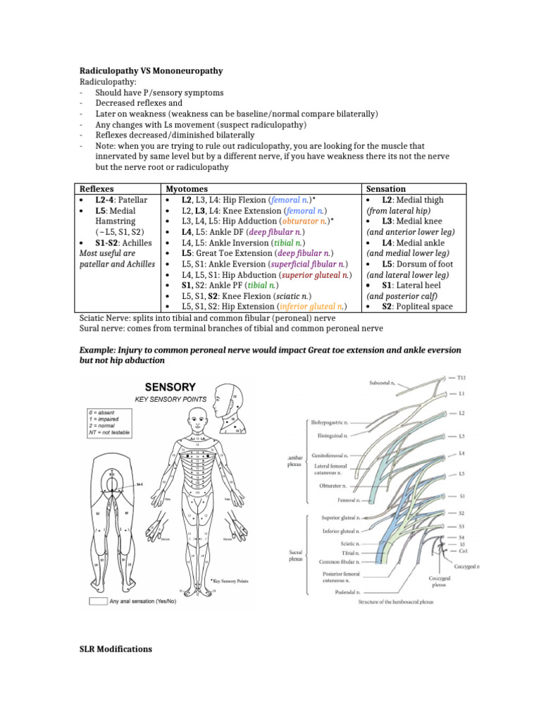 Radiculopathy VS Mononeuropathy | PDF