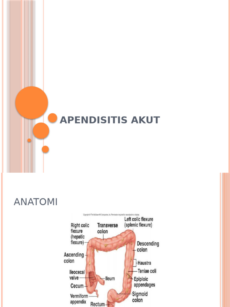 Appendicitis - Akut - 1 | PDF